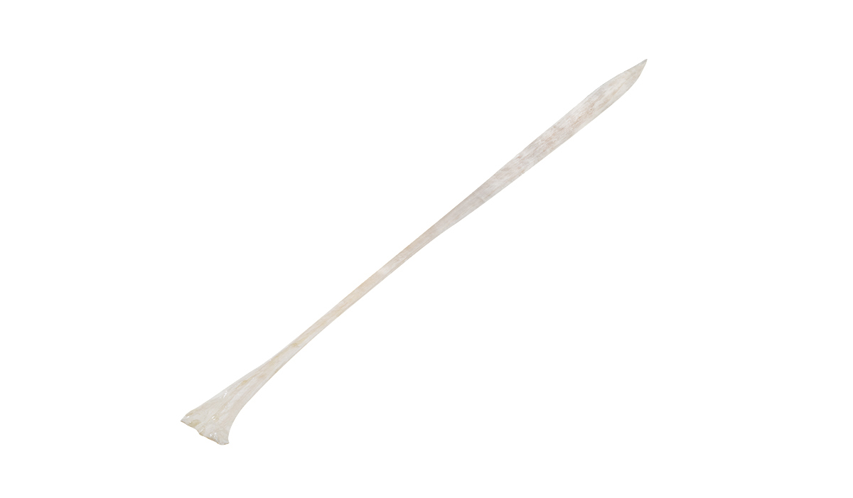 Semitendinosis - Origin Biologics