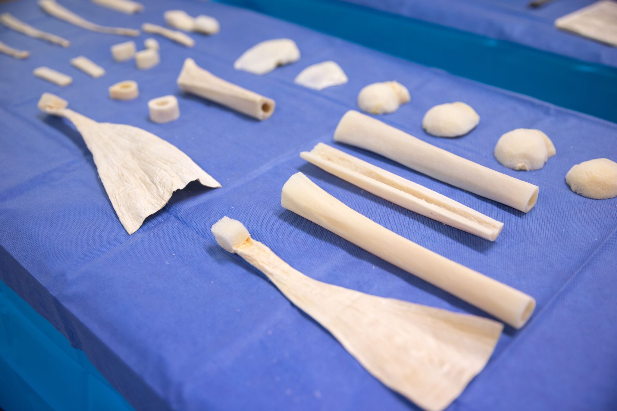 Turnkey Services - Origin Biologics